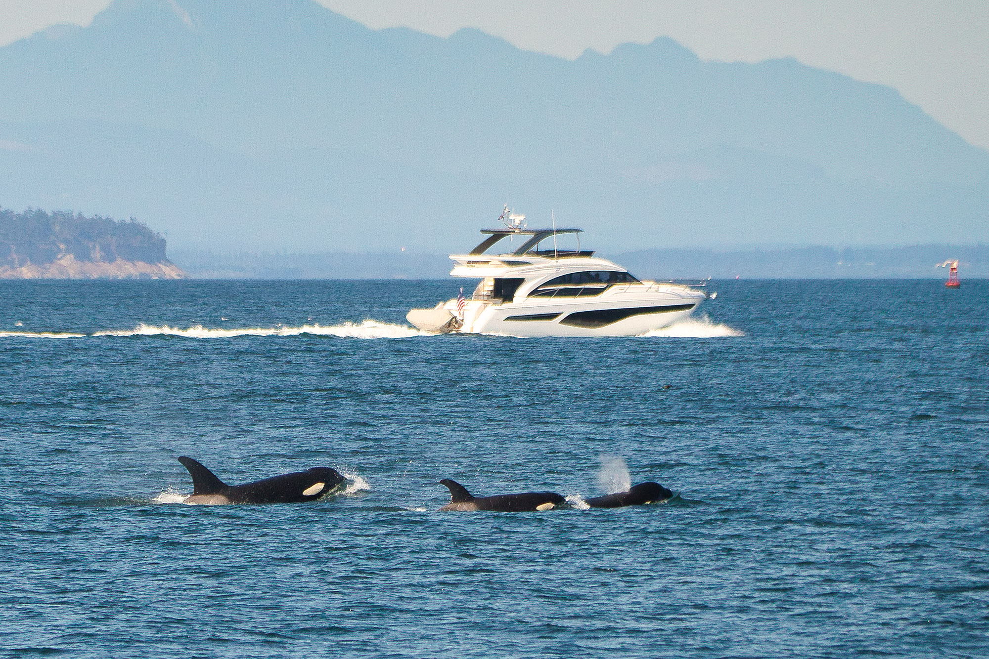 Princess F65 Yachts for Sale - Princess F65 Prices - TWW