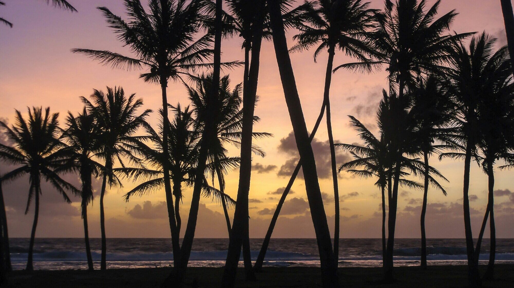 Marshall Islands Yacht Charter - TWW Yachts